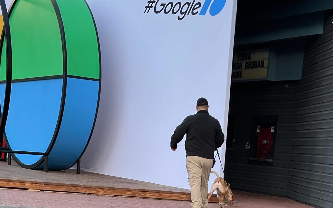 K9 Search Patterns and Methods | UNITED PACIFIC K9